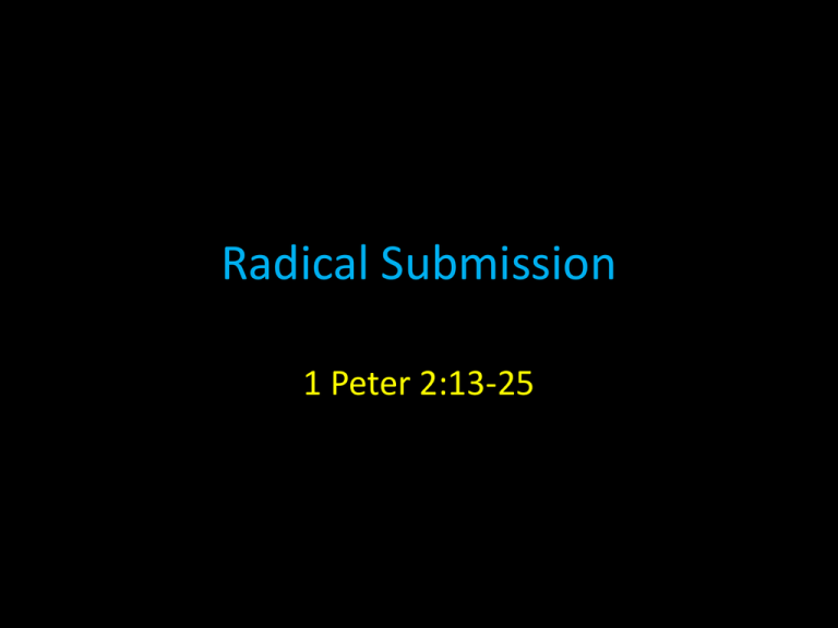 1 Peter 2 13