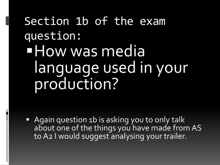 Media Language 2011