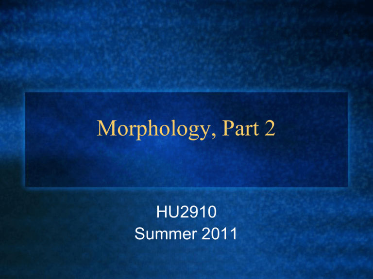 Morphology Morphology