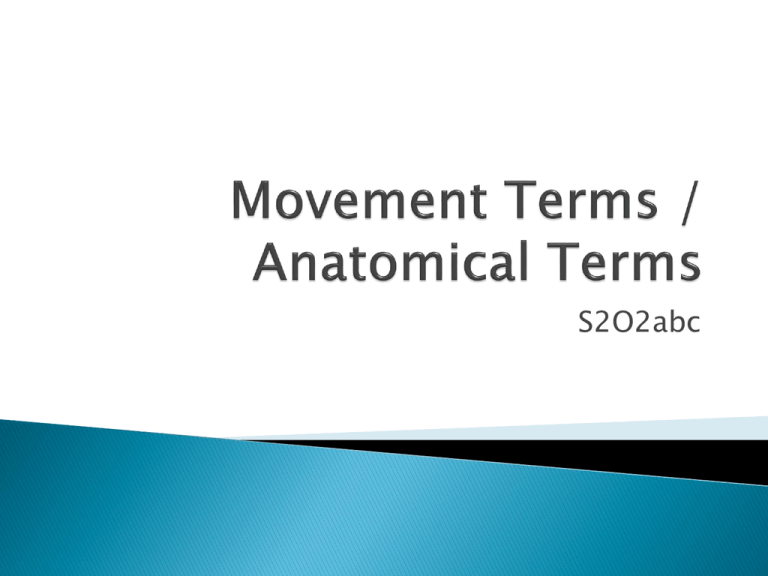 Movement Terms Anatomical Terms Movement Terms Anatomical Terms