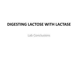 Lactase Enzyme Activity - with Data Analysis
