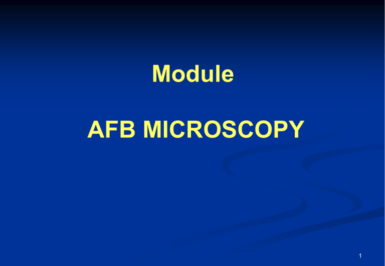 DOTS Directly Observed Treatment Short course DOTS Directly Observed Treatment Short course