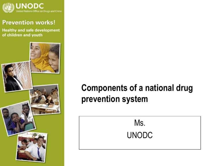Components Of National Prevention System ENG