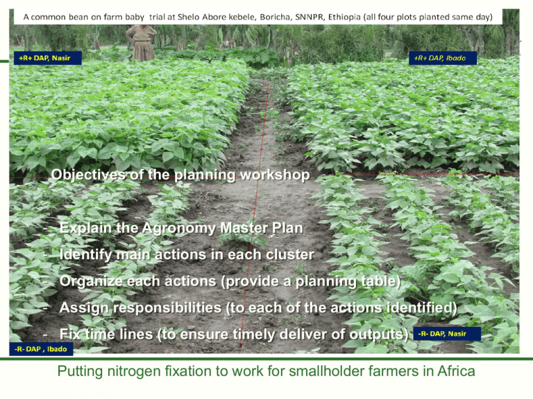 Agronomy master plan - N2Africa