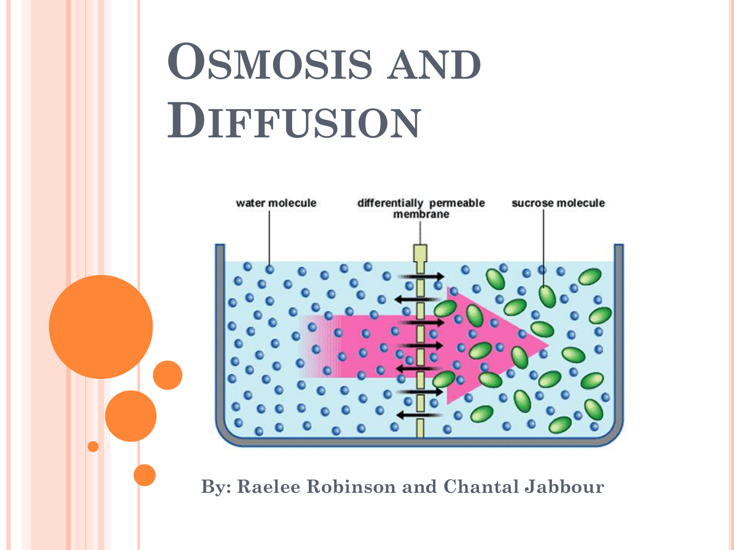 Osmosis And Diffusion