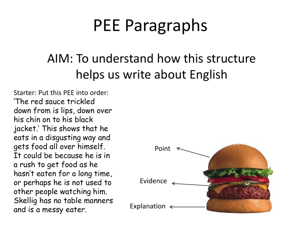 PEE Paragraphs PEE Paragraphs