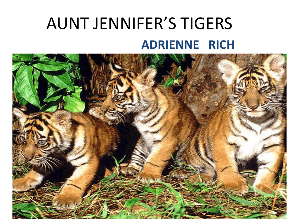 AUNT JENNIFER S TIGERS