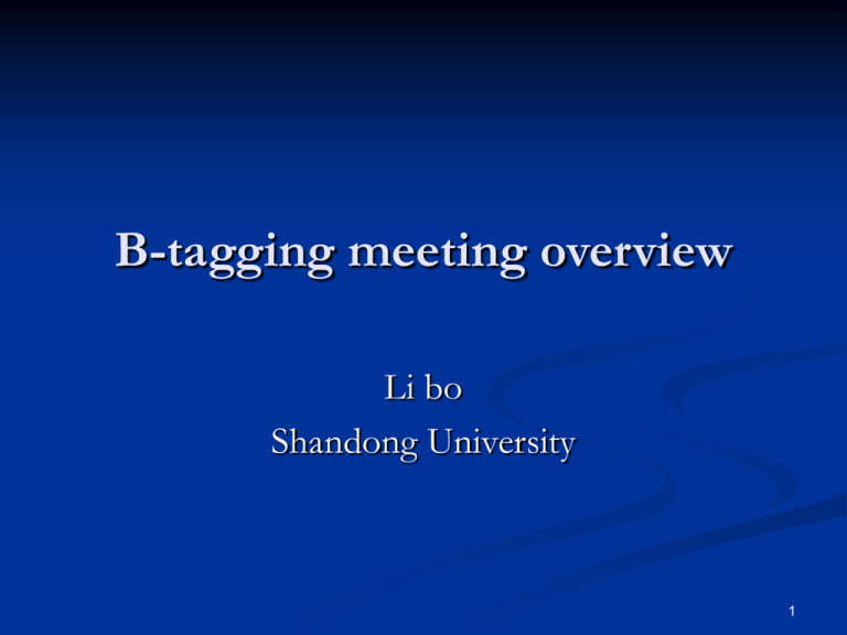 Overviwe of b tagging meetings Overviwe of b tagging meetings