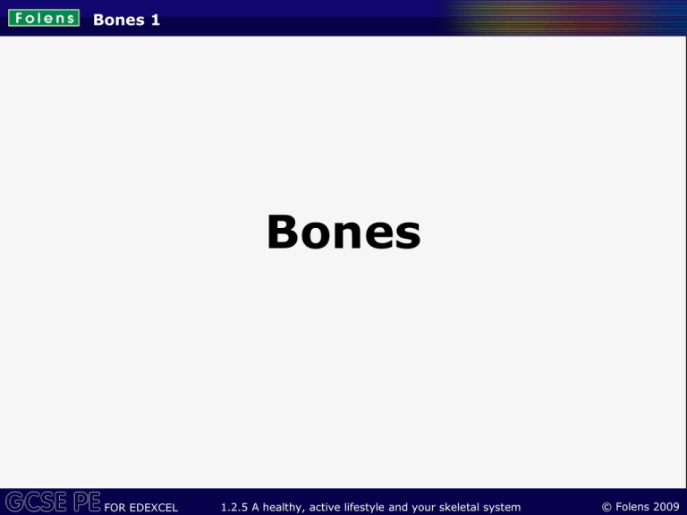 Skeleton Skeleton