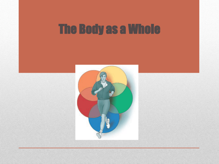 The Body As A Whole