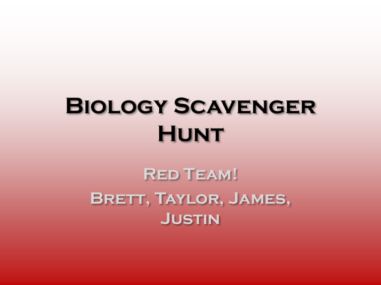 Biology Scavenger Hunt Biology Scavenger Hunt