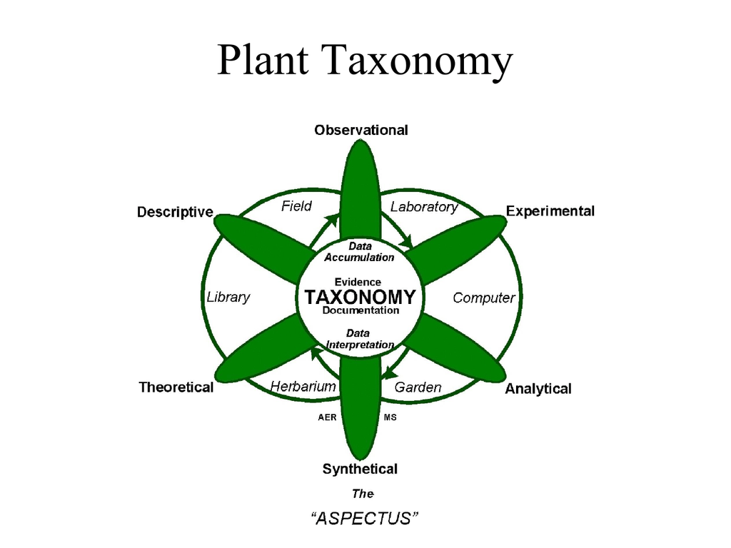 Development Of Plant Taxonomy And Taxonomic Characters