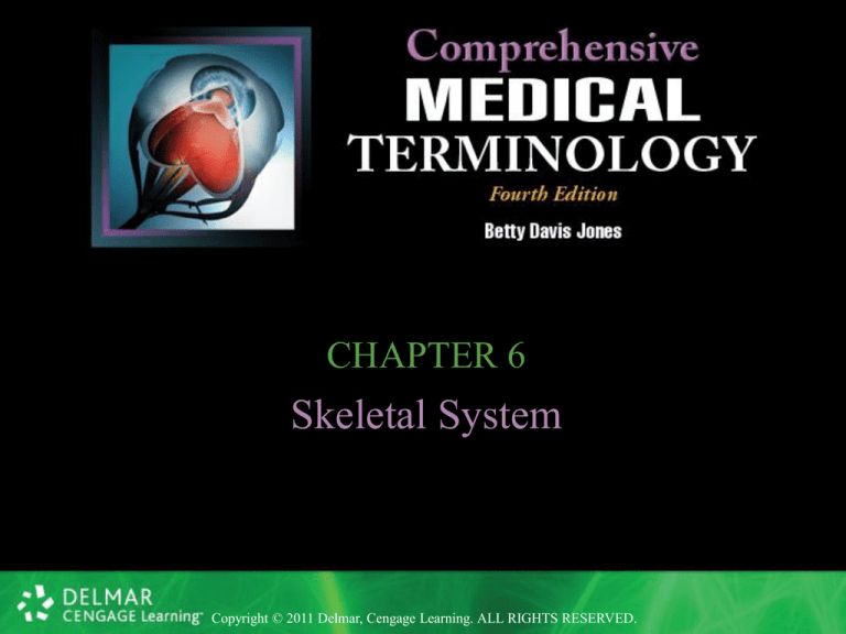 SKELETAL SYSTEM