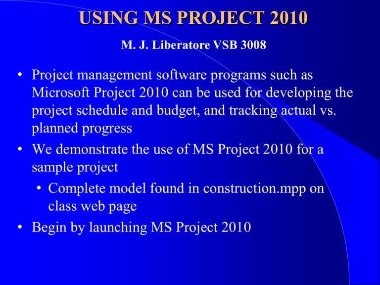 Using MS Project
