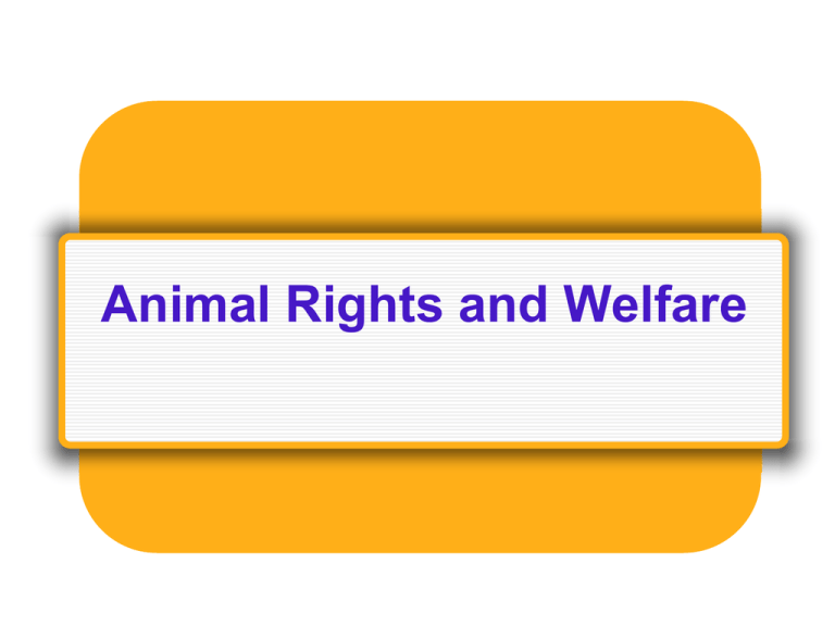 Animal Rights And Welfare Animal Rights And Welfare