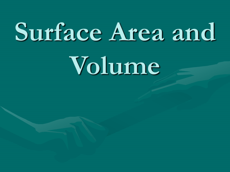 Surface Area And Volume