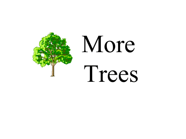 2 3 Tree