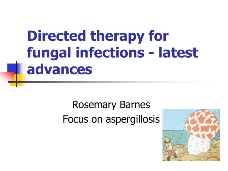 EORTC MSG Definitions In Daily Clinical Practice Care