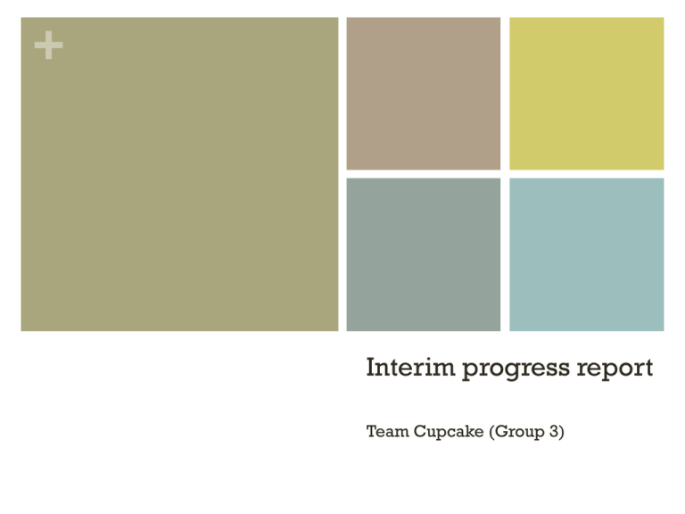 Interim Project Report Group 3