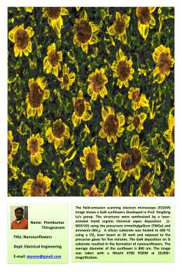 How does a Silane Coupling Agent Work? Hydrolysis