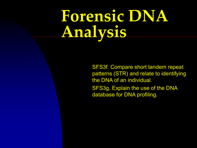 What Is DNA 