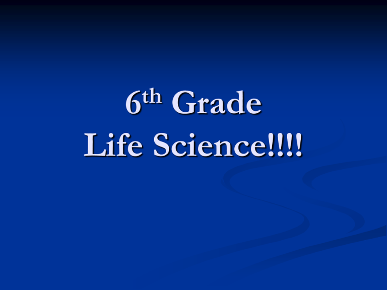 6th Grade Science Review 6th Grade Science Review