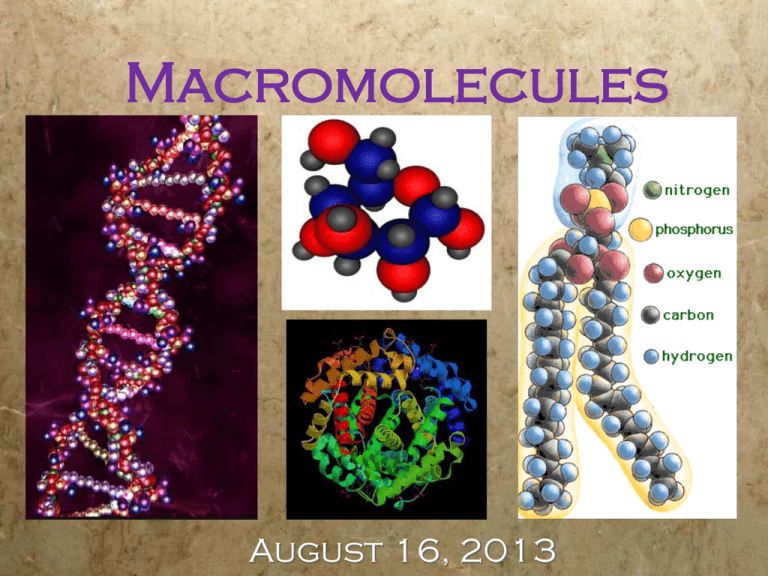 Macromolecules Uplift Education