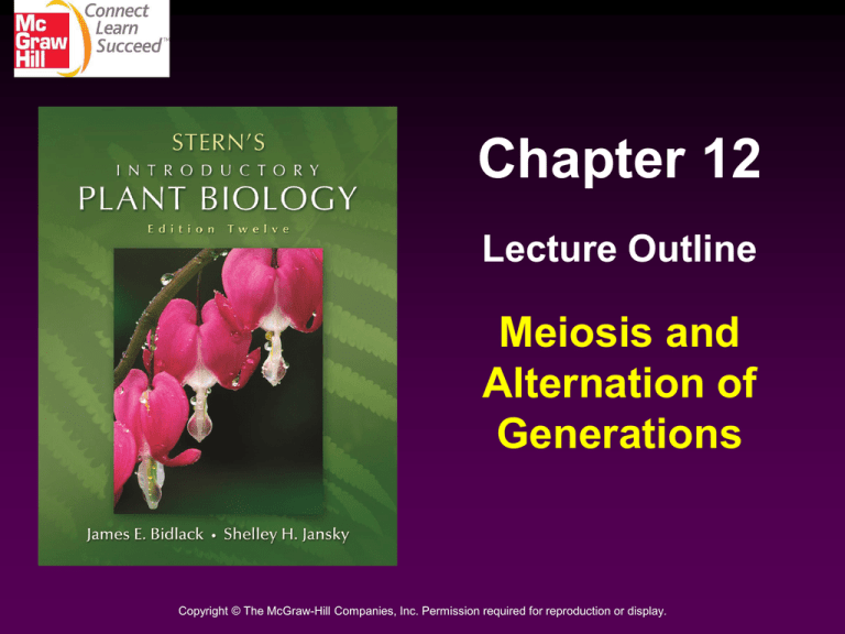 Stern Chapter 12 Final PPT