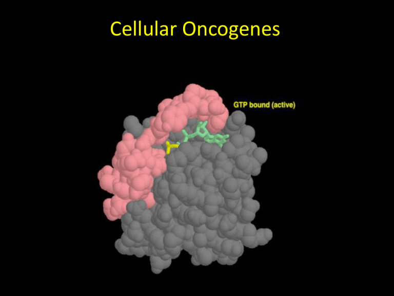 Oncogene