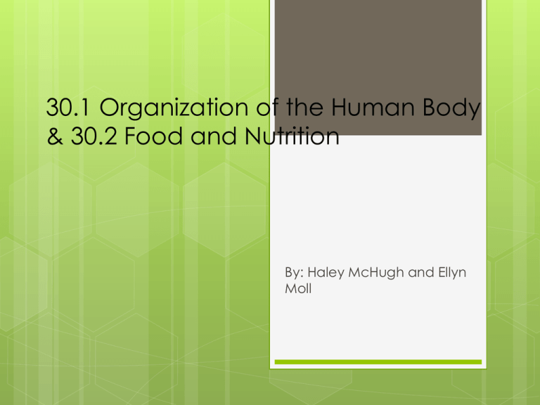 Bio Chapter 30 Ppt