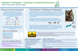 Elephant toothpaste-lab report-corrected-term1-2012