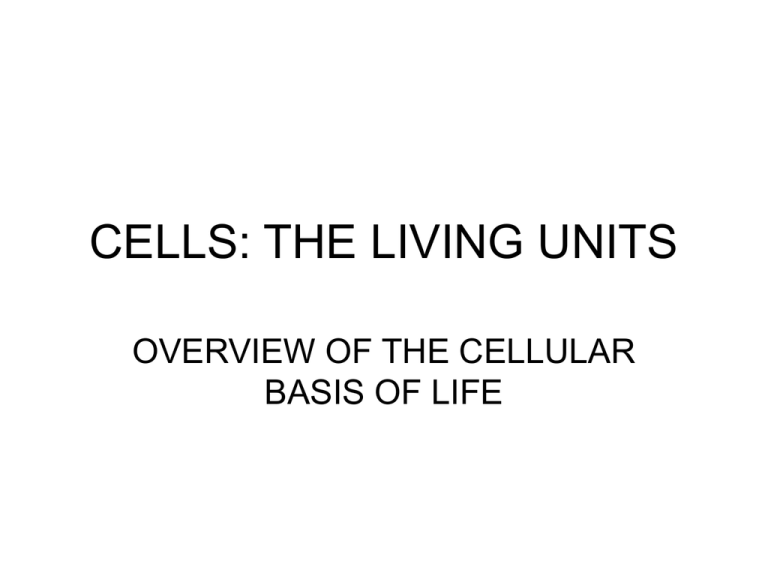 AP3Cells
