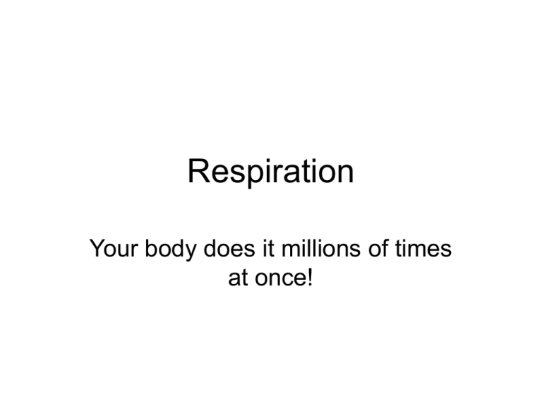 Respiration Respiration