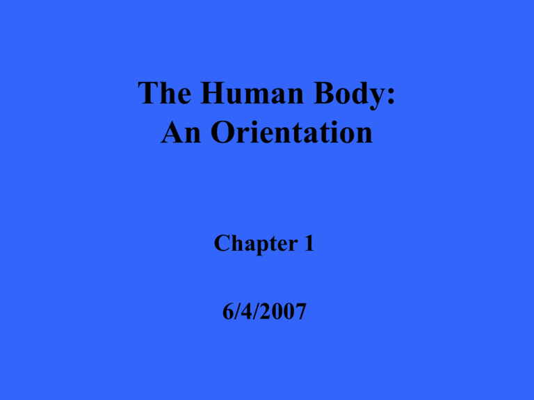 The Human Body An Orientation