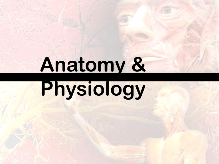 AP Biology AP Biology