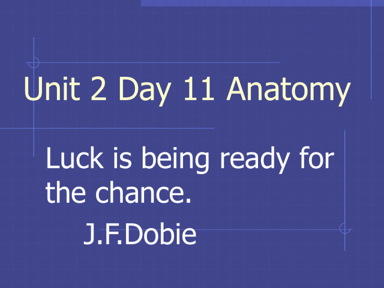 Unit 2 Day 11 Anatomy Tissues Unit 2 Day 11 Anatomy Tissues