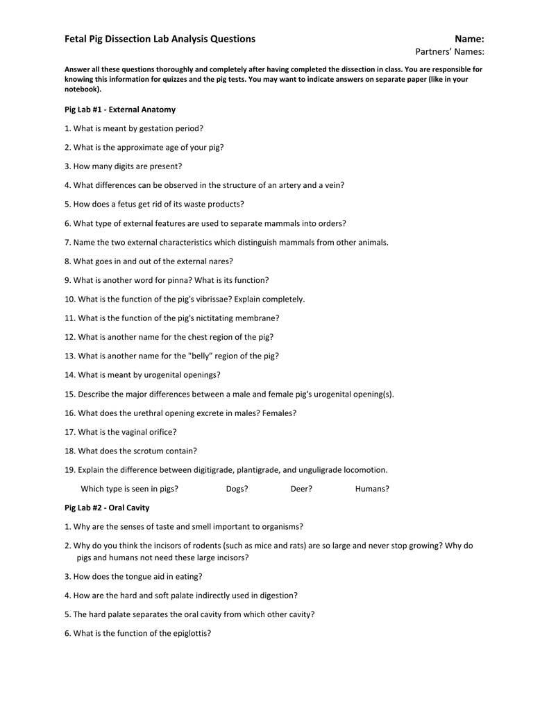 Pig Lab Questions Pig Lab Questions