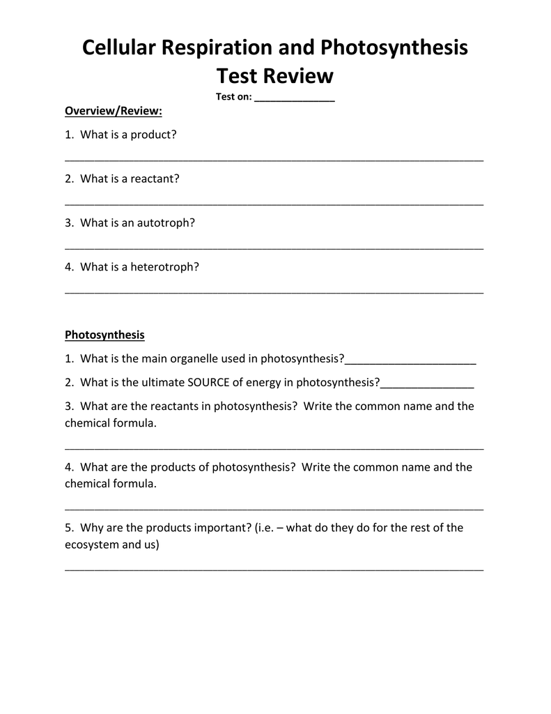Cellular Respiration And Photosynthesis Test Review