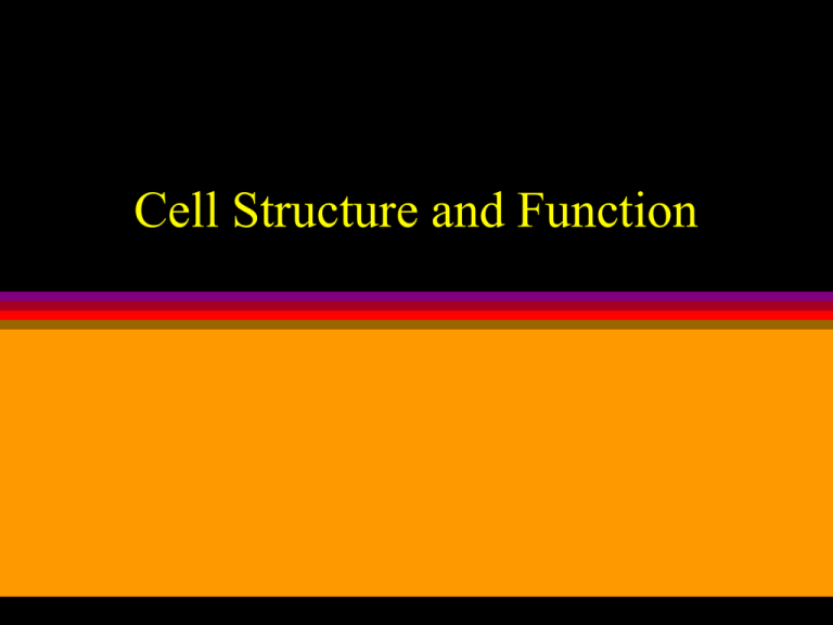 The Discovery And Basic Cell Theory