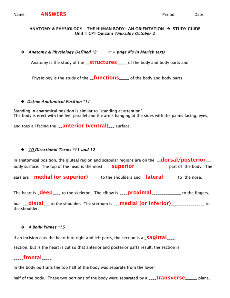 The Human Body An Orientation Answer Key Islero Guide Answer For 