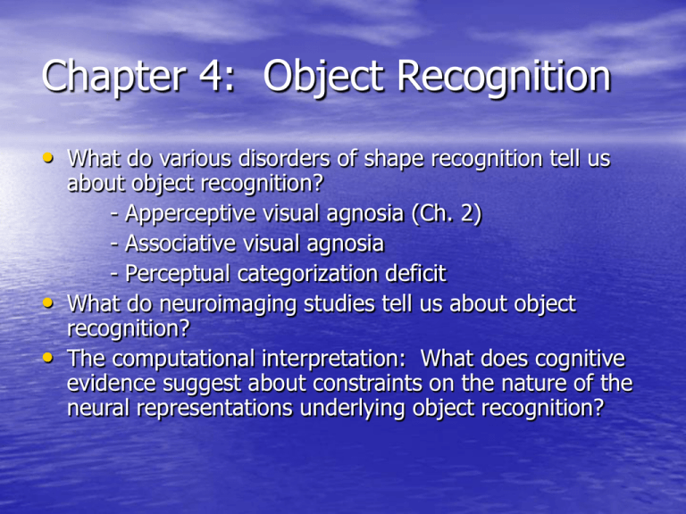 Chapter 4 Object Recognition