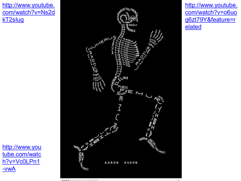 Unit 2 Skeletal System Unit 2 Skeletal System