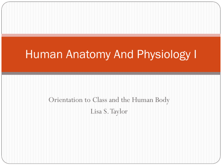 Human Anatomy And Physiology