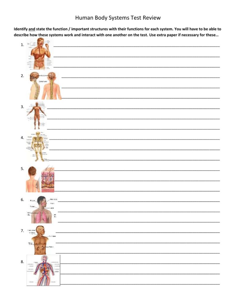 Test Review Human Body Systems Test Review Human Body Systems