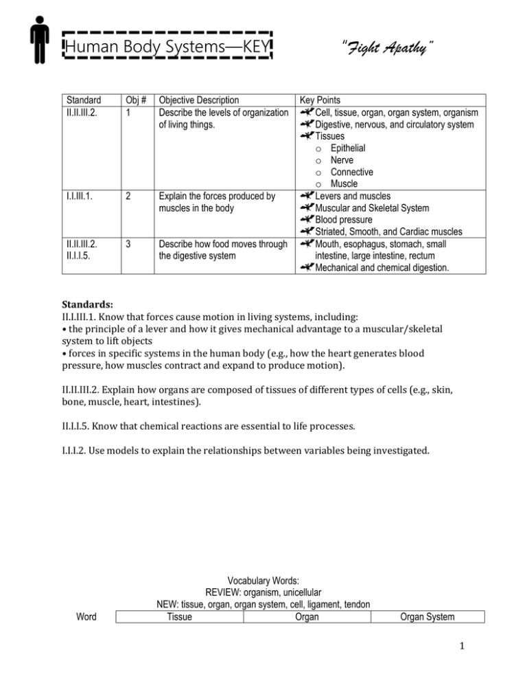 Human Body Systems KEY Human Body Systems KEY
