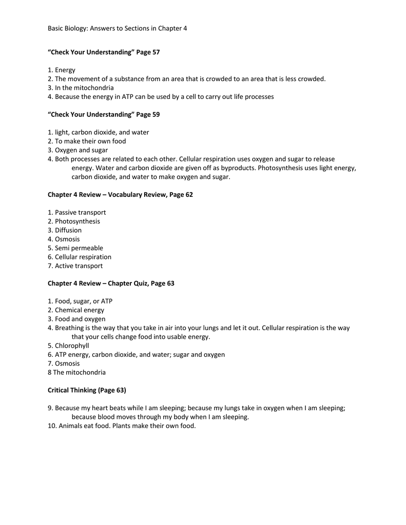 Chapter 4 Biology Test Answer Key NormanSeynab