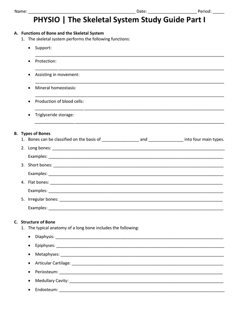 PHYSIO The Skeletal System Study Guide Part I