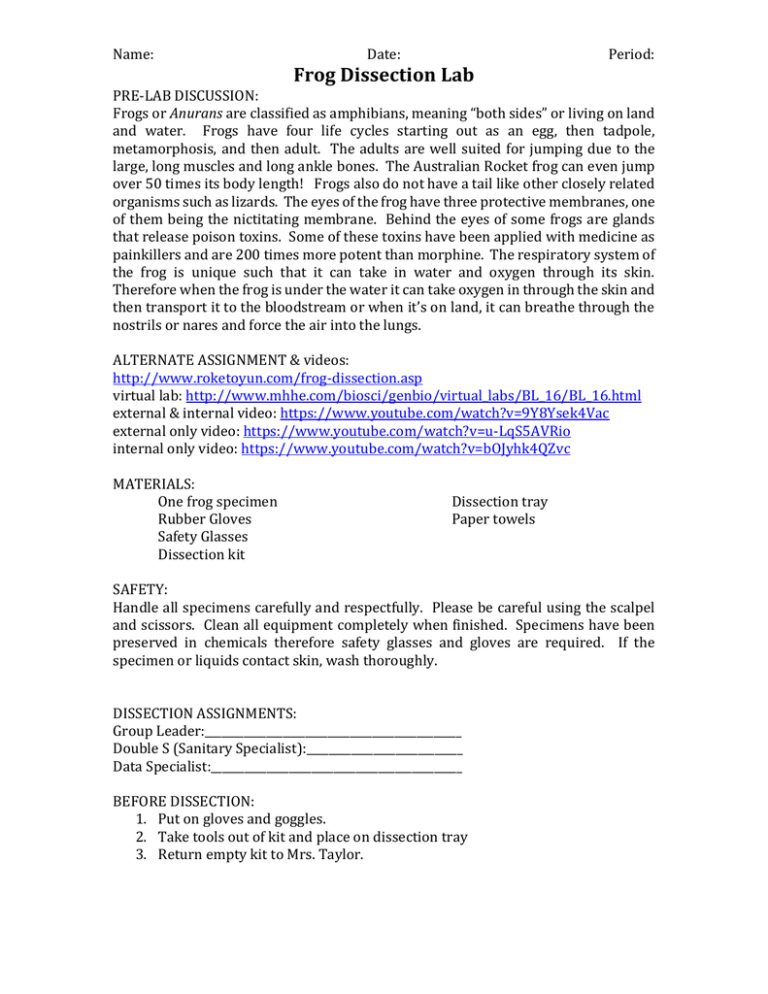 The Frog Dissection Packet The Frog Dissection Packet