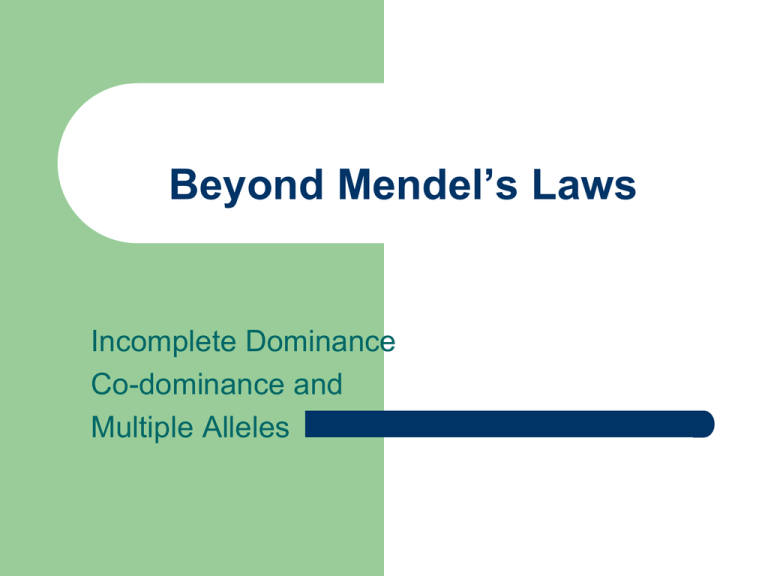 Incomplete Dominance Codominance Multiple Alleles