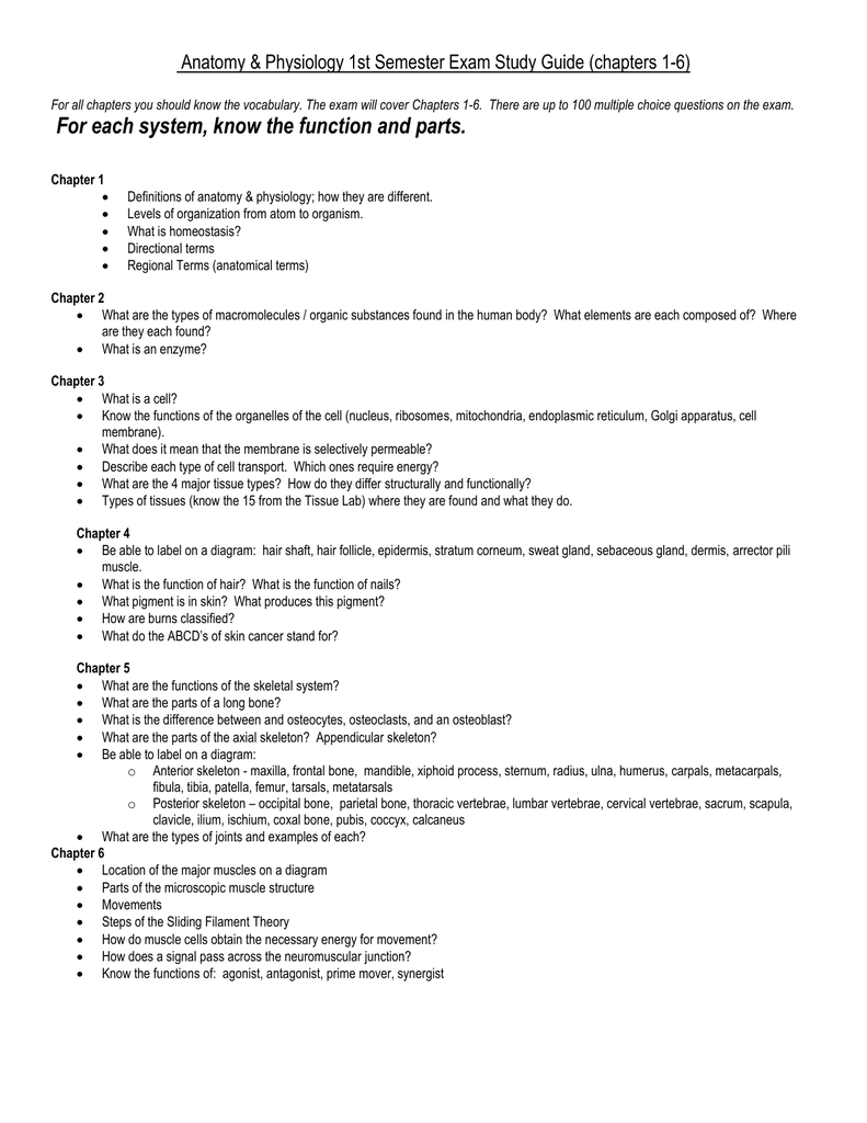 Anatomy Physiology 1st Semester Exam Study Guide